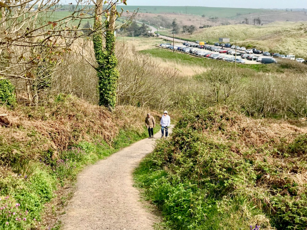 Lady Carbery’s High Cross | Roaringwater Journal