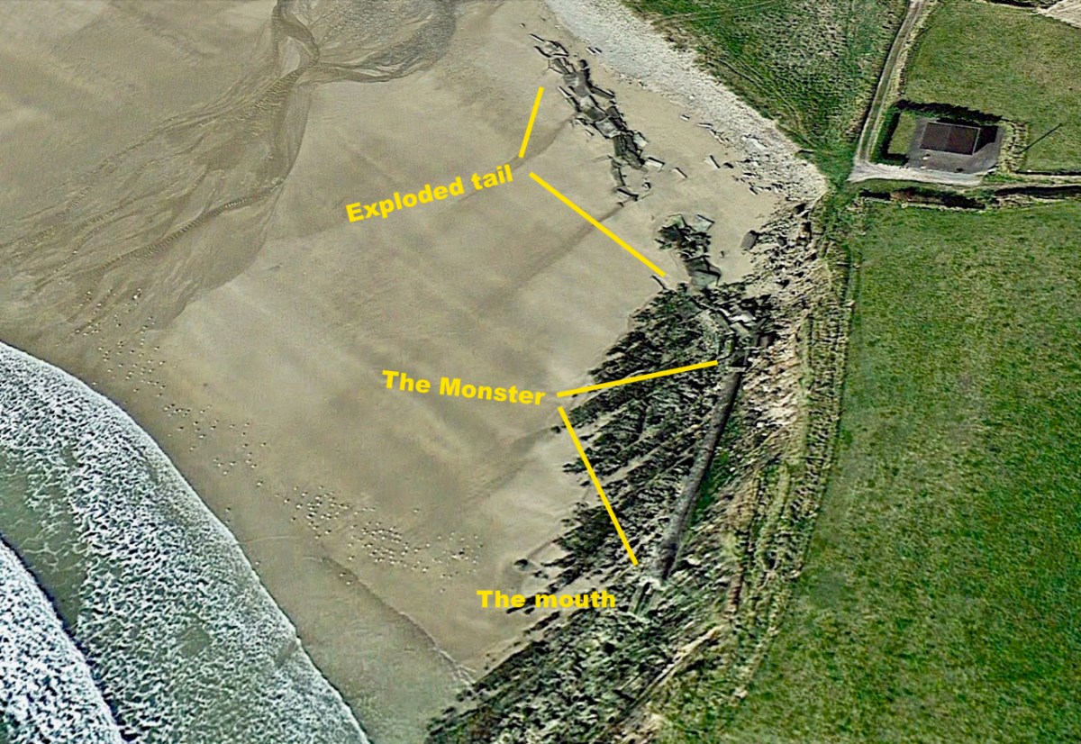 The Monster of Red Strand! | Roaringwater Journal