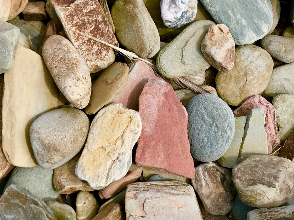 The Monster of Red Strand! | Roaringwater Journal