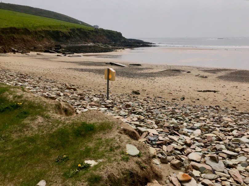 The Monster of Red Strand! | Roaringwater Journal