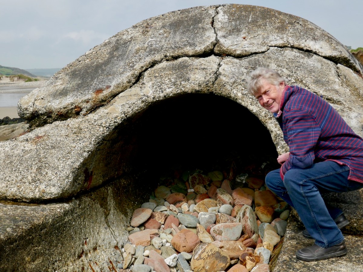 The Monster of Red Strand! | Roaringwater Journal