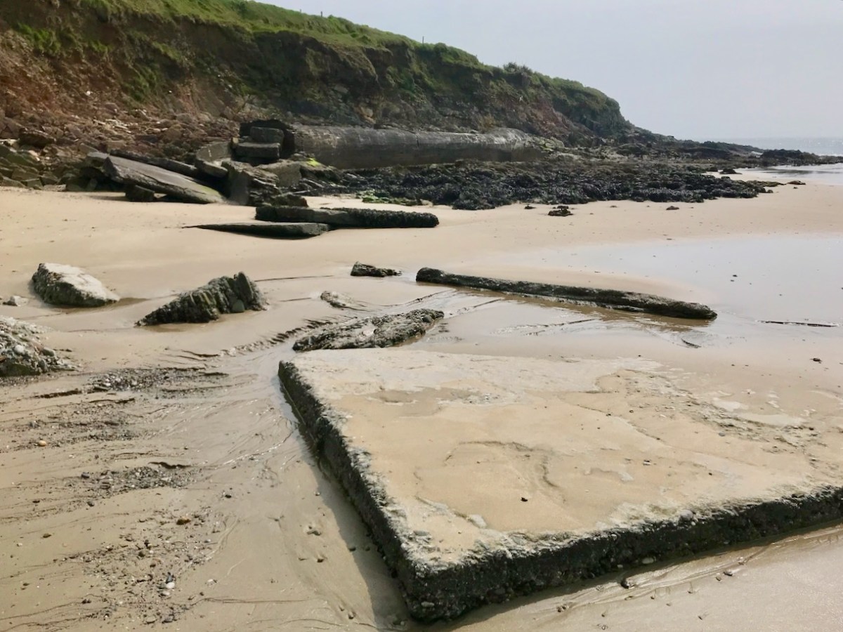 The Monster of Red Strand! | Roaringwater Journal