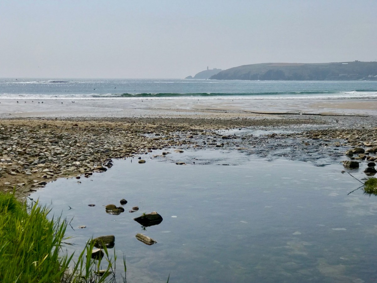 The Monster of Red Strand! | Roaringwater Journal