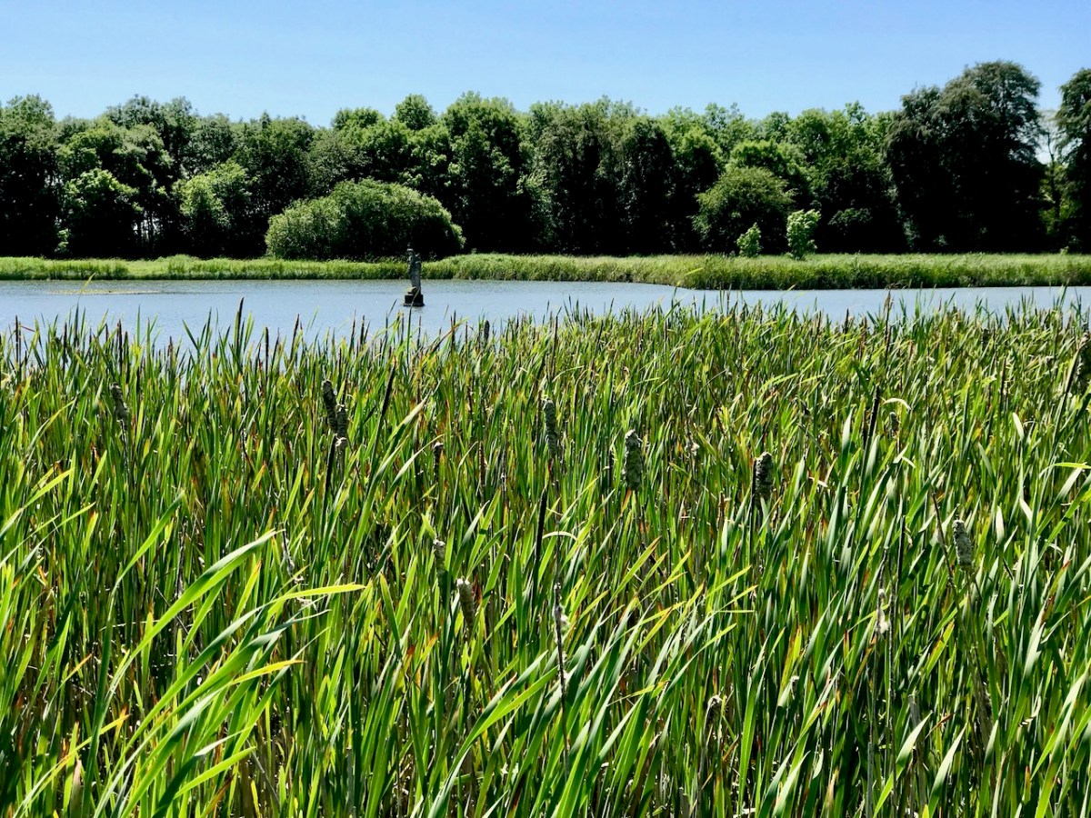 Larchill – A Pastoral Paradise | Roaringwater Journal
