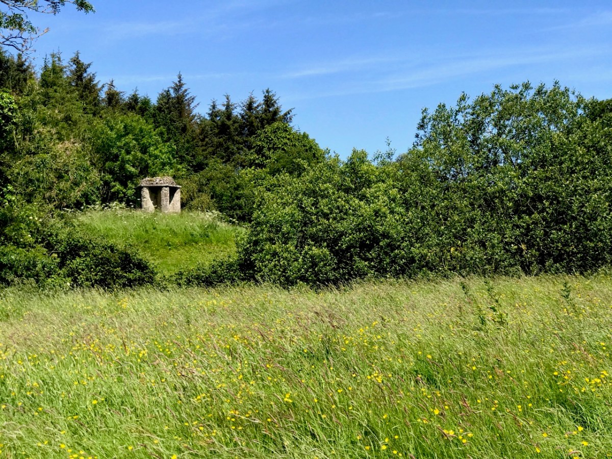 Larchill – A Pastoral Paradise | Roaringwater Journal