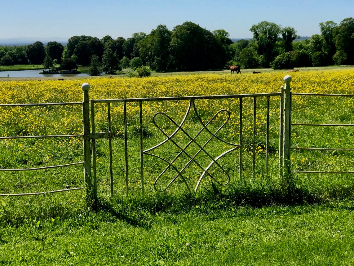 Larchill – A Pastoral Paradise | Roaringwater Journal