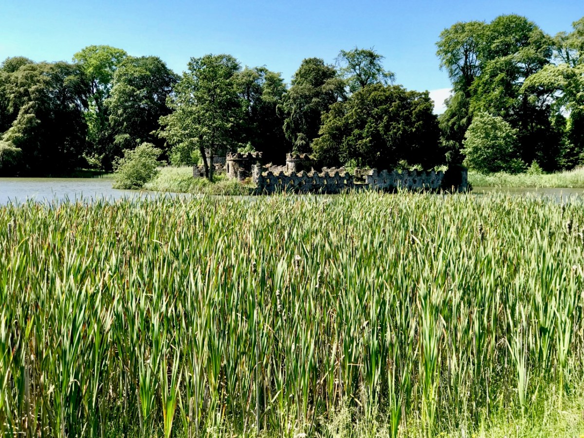 Larchill – A Pastoral Paradise | Roaringwater Journal