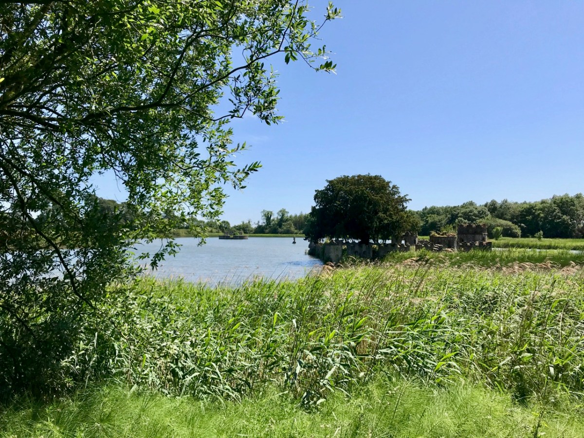 Larchill – A Pastoral Paradise | Roaringwater Journal