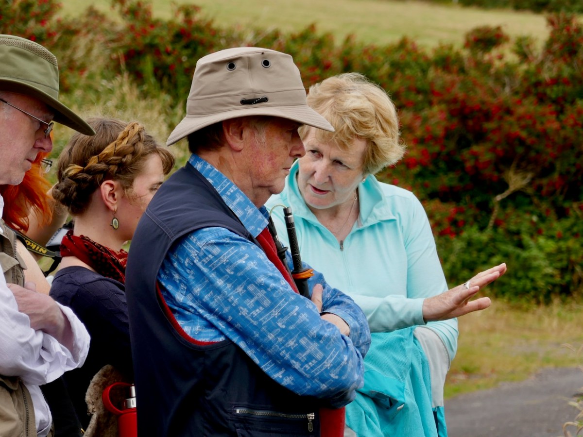 Irish Immersion! | Roaringwater Journal