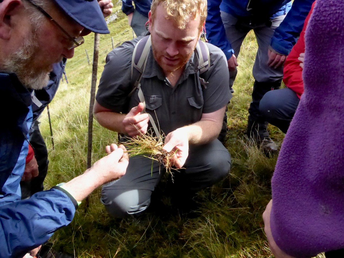 West Cork in High Summer – Festival Central! | Roaringwater Journal