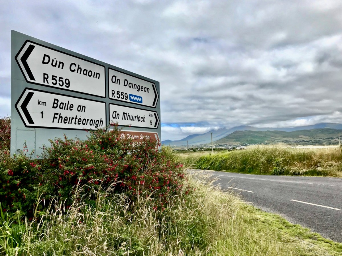 Irish Immersion! | Roaringwater Journal