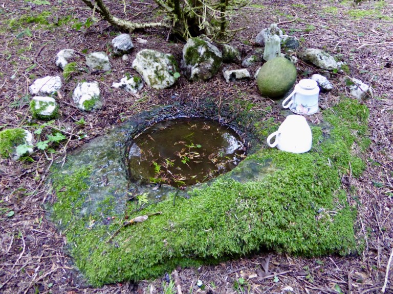 The Enigmatic Bullaun | Roaringwater Journal