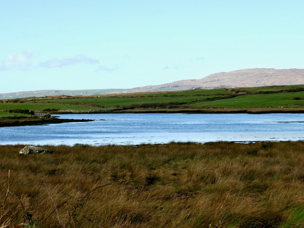 Mizen Magic 17: Delights of Dunmanus | Roaringwater Journal