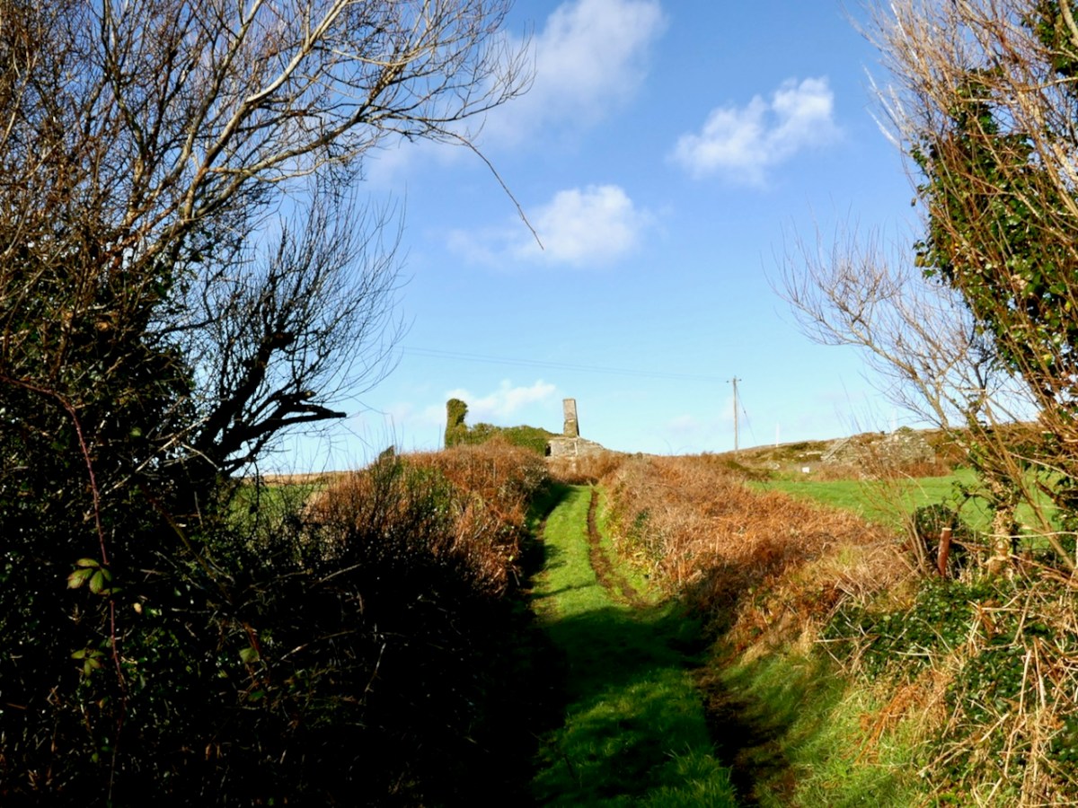 Down an old boreen | Roaringwater Journal
