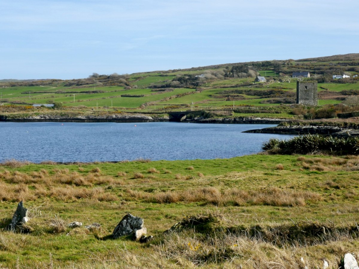 Mizen Magic 17: Delights of Dunmanus | Roaringwater Journal