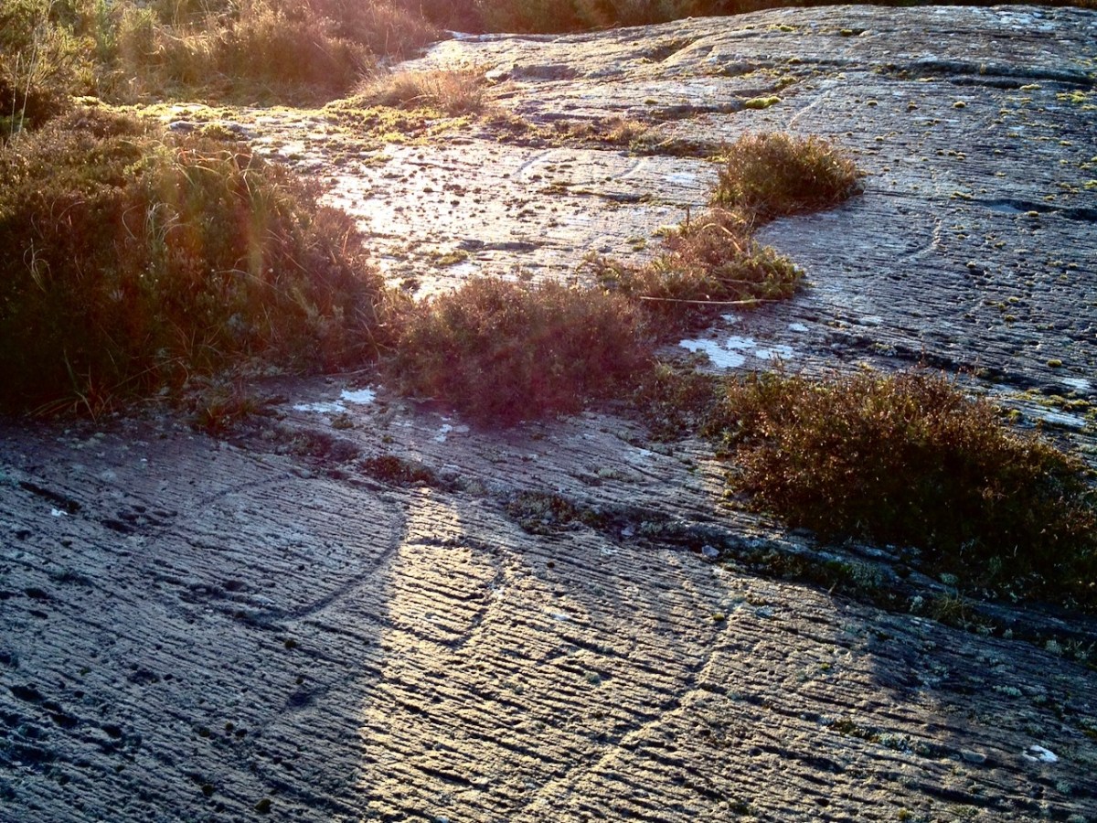 First Rays | Roaringwater Journal