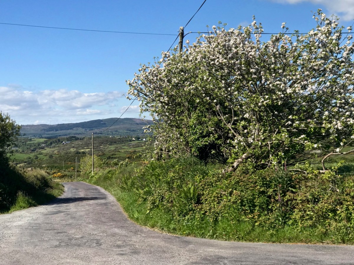 Wending the Boreens | Roaringwater Journal