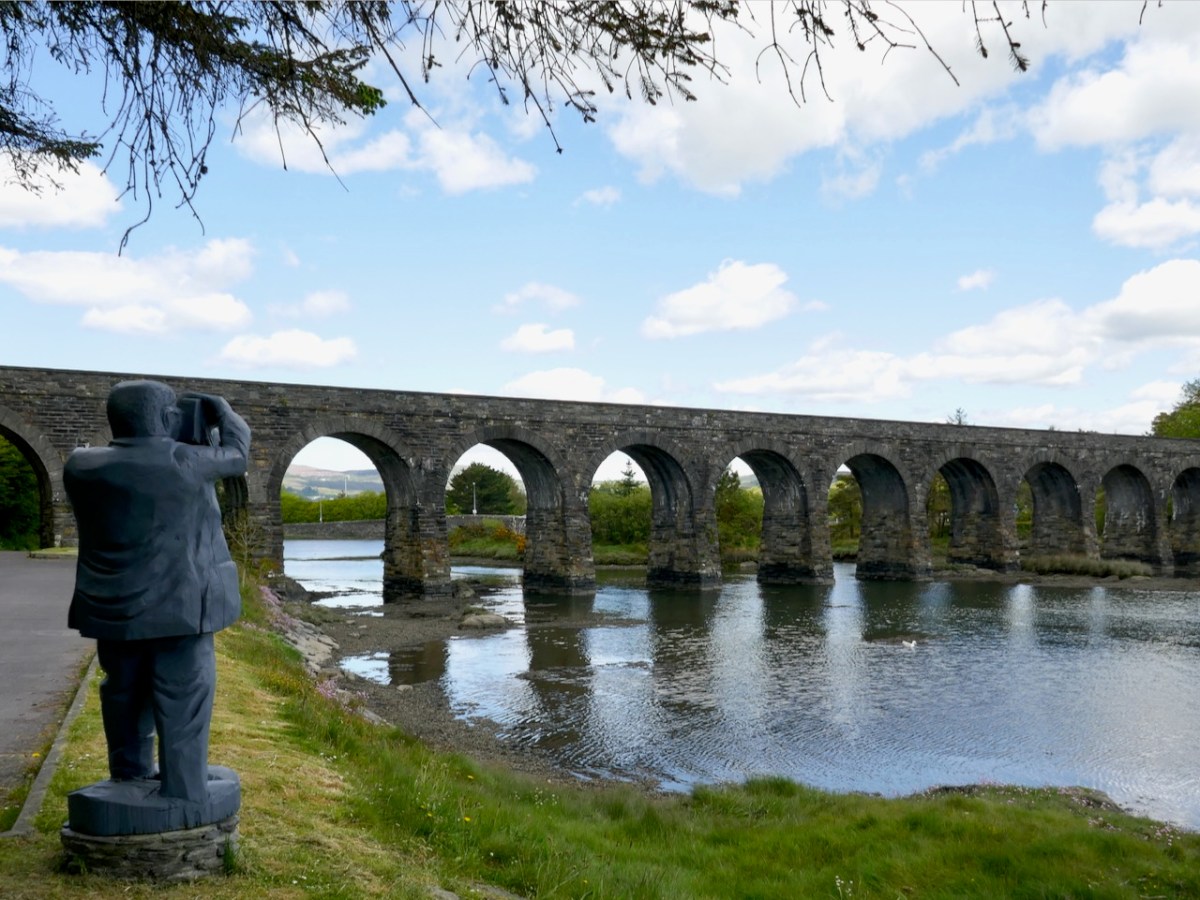 Biodiversity Ballydehob | Roaringwater Journal