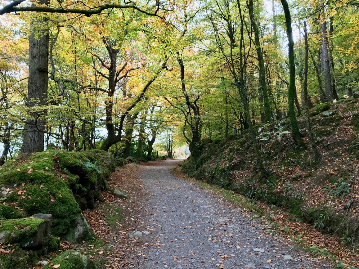 Wending the Boreens | Roaringwater Journal