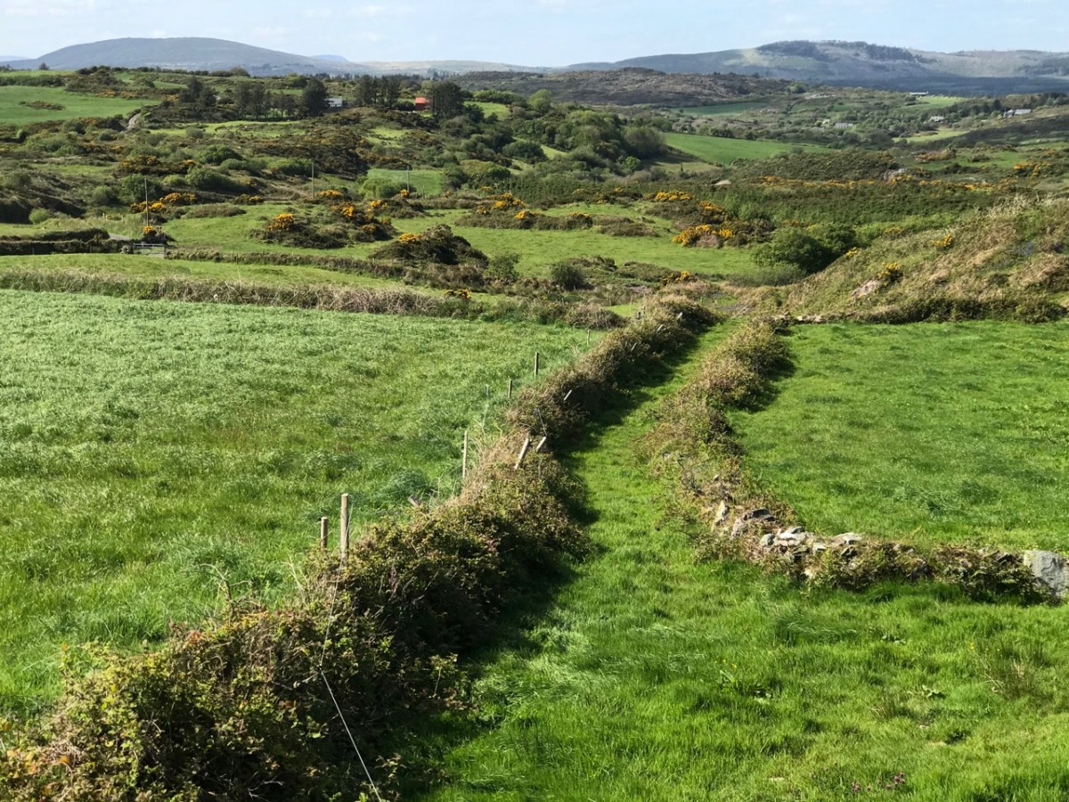 Wending the Boreens | Roaringwater Journal