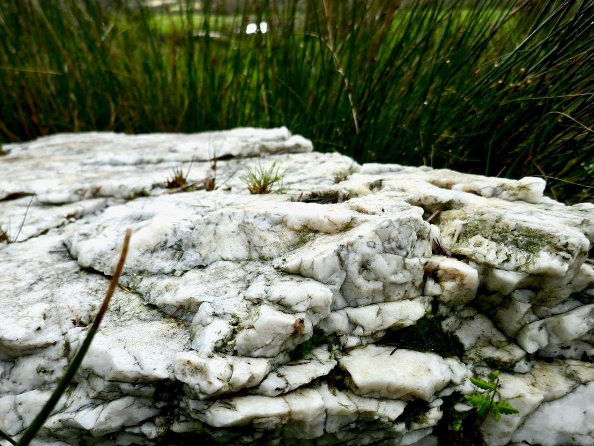 The Stone Circles of West Cork: Multiple Stone Circles | Roaringwater ...