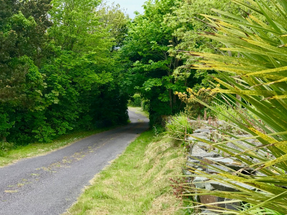 Wending the Boreens | Roaringwater Journal