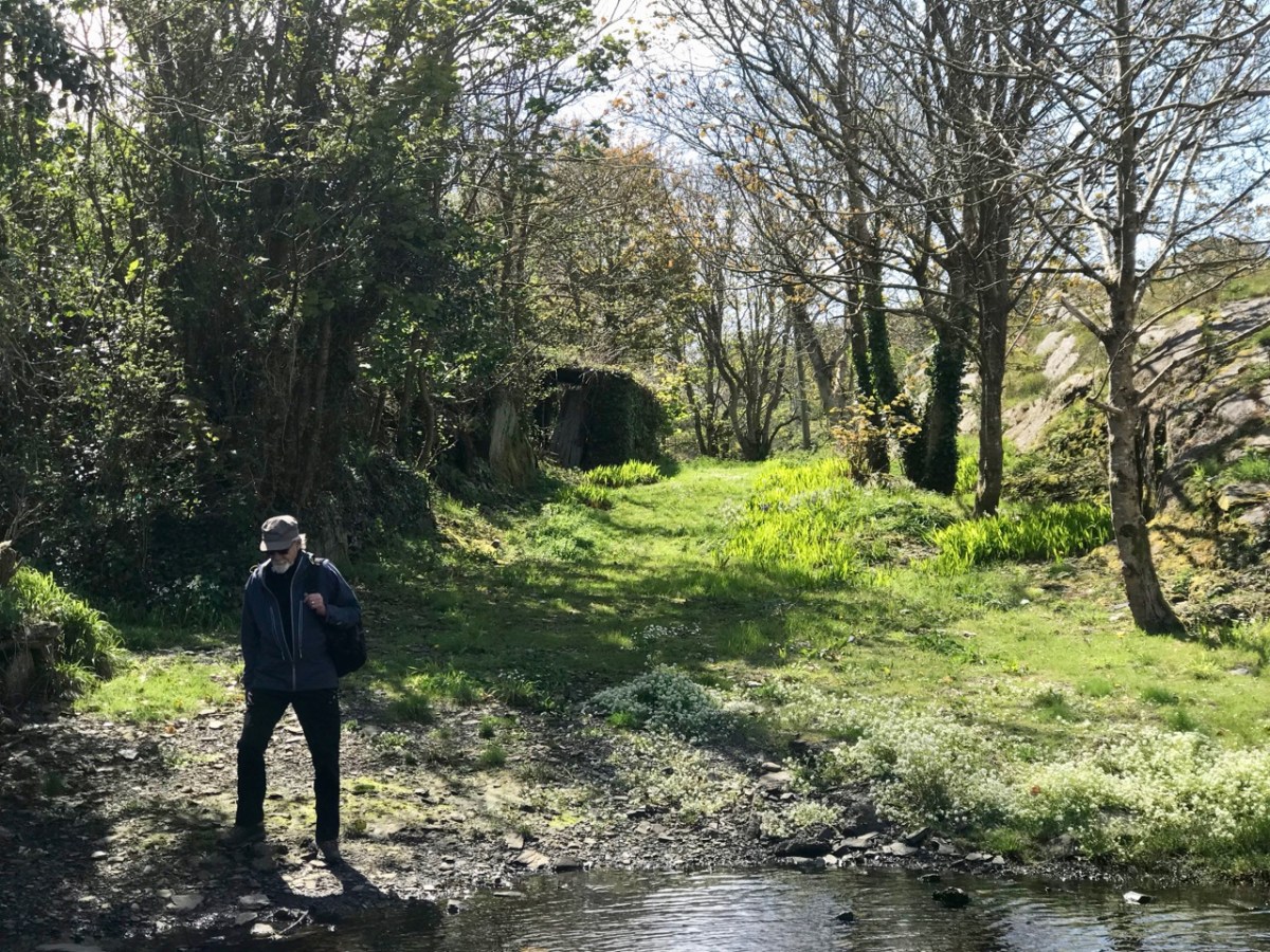 Wending the Boreens | Roaringwater Journal