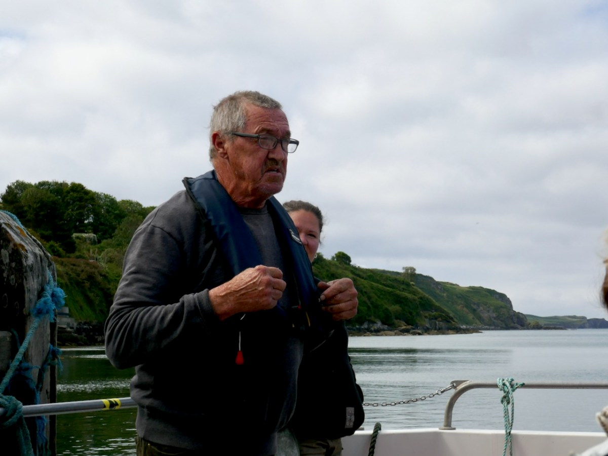 Humpback Whales | Roaringwater Journal