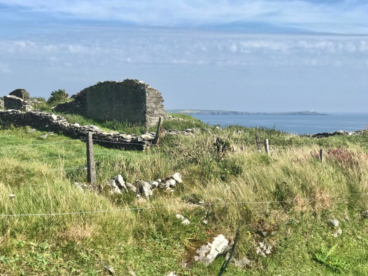 Mill Cove | Roaringwater Journal