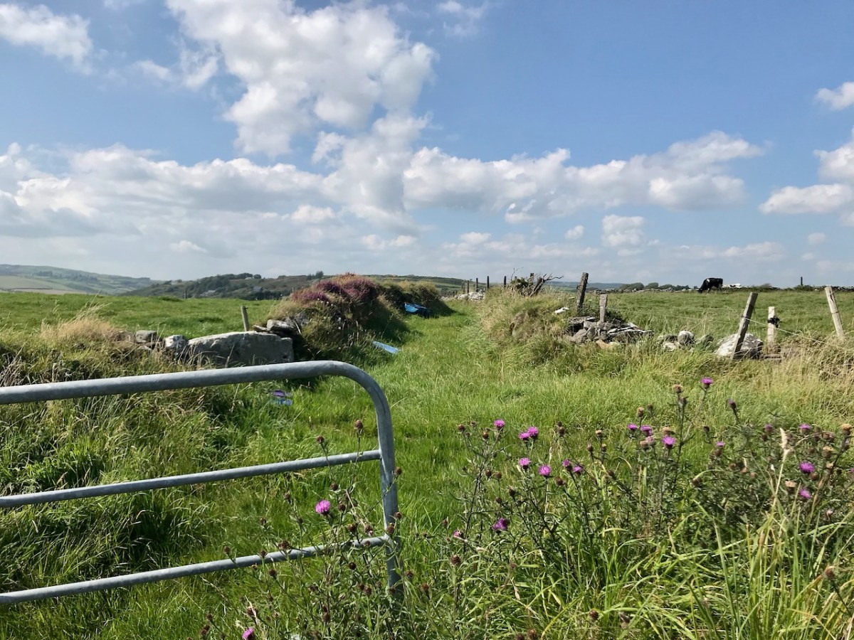 Mill Cove | Roaringwater Journal