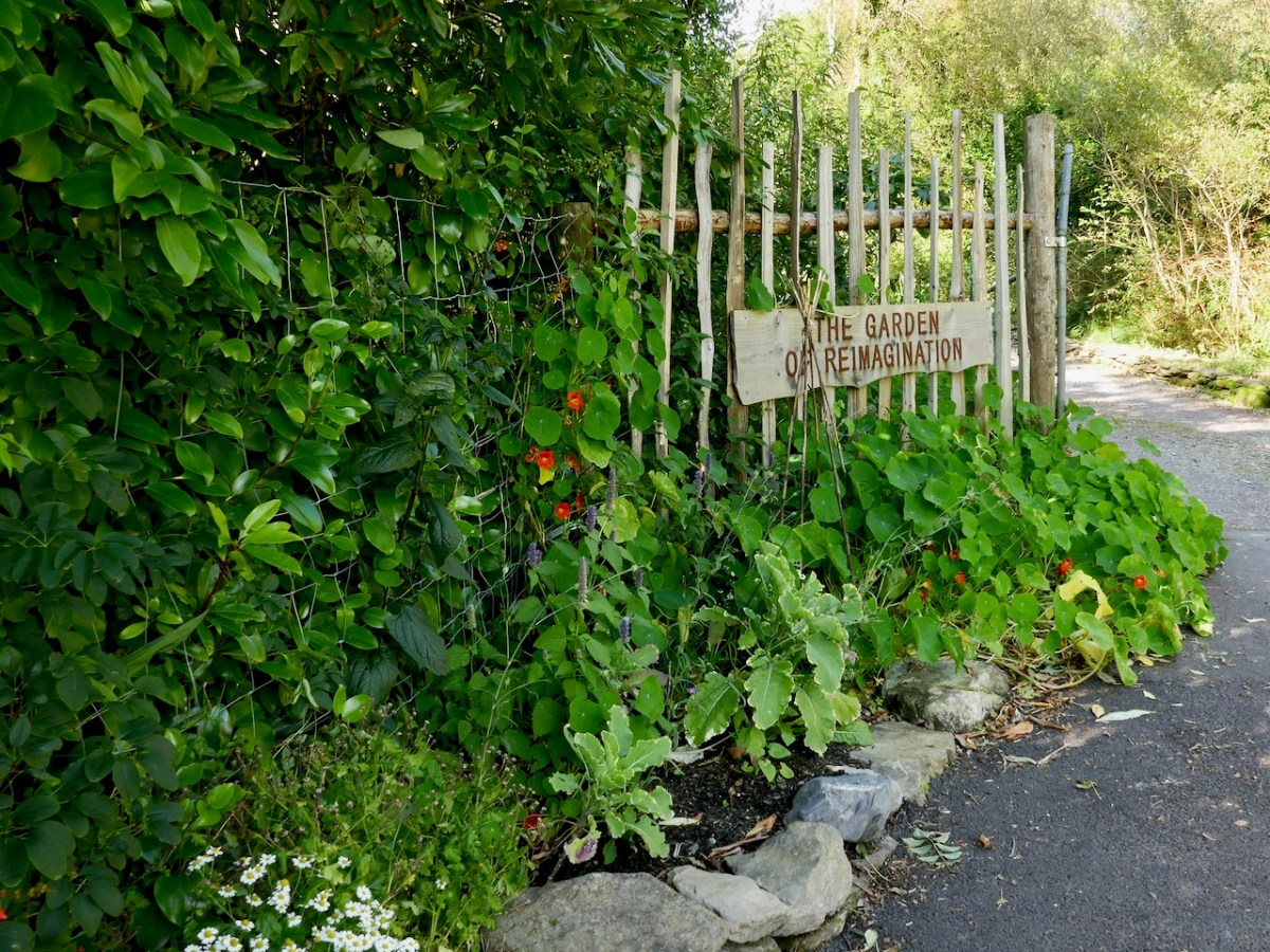 Two Green Shoots | Roaringwater Journal