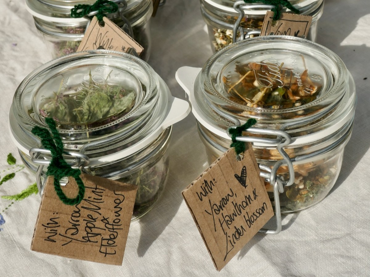 Two Green Shoots | Roaringwater Journal