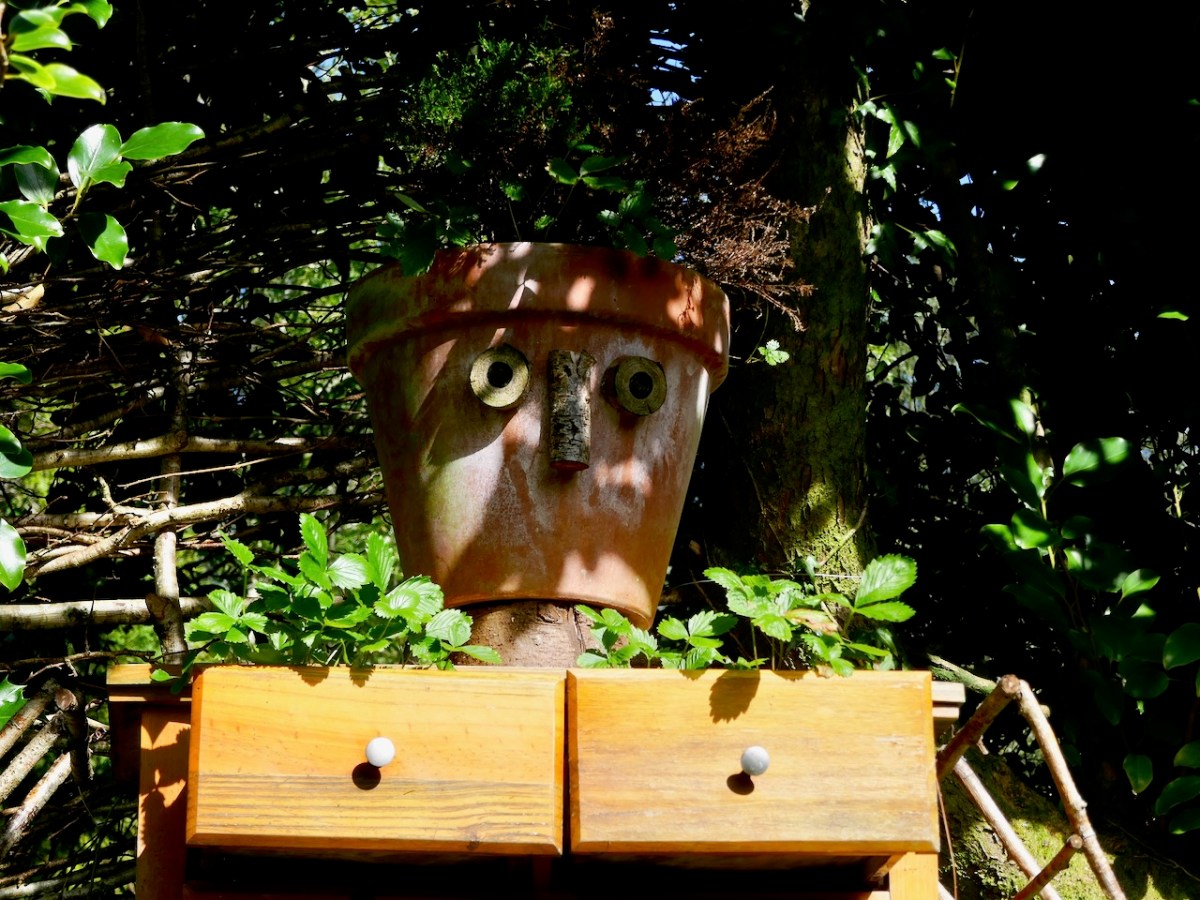 Mr Pot Head | Roaringwater Journal