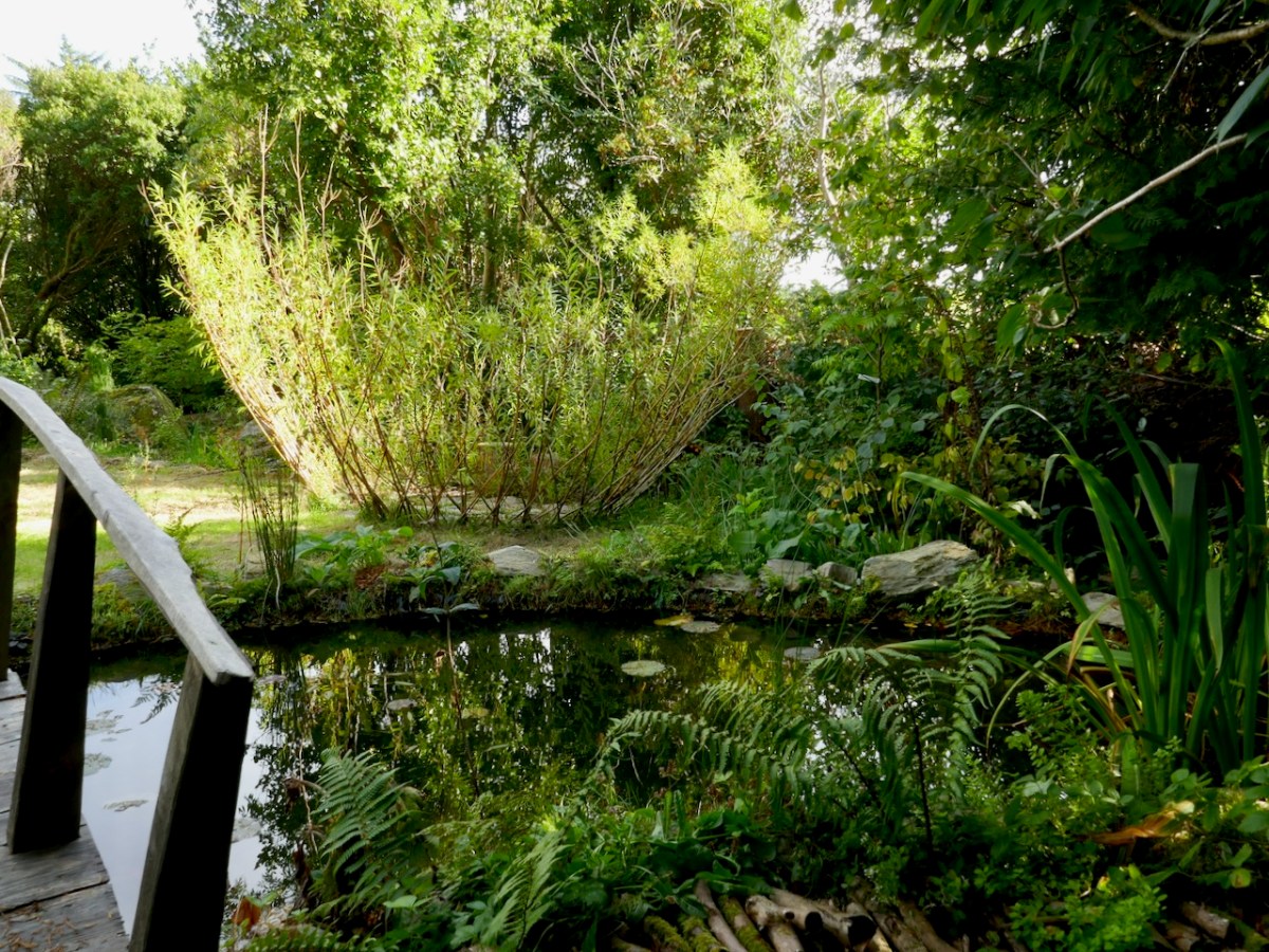 Two Green Shoots | Roaringwater Journal