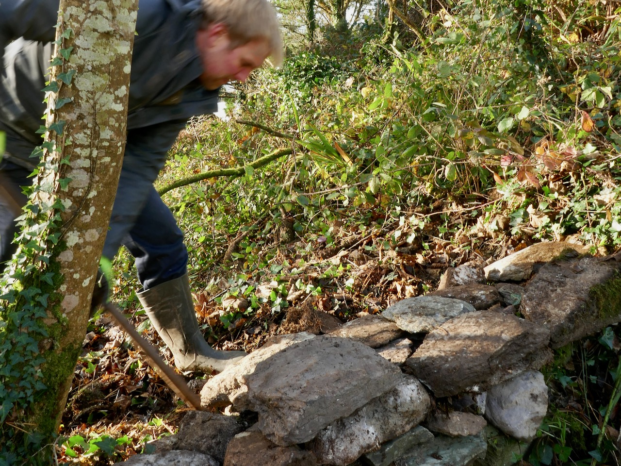 Our Lockdown Mascot | Roaringwater Journal