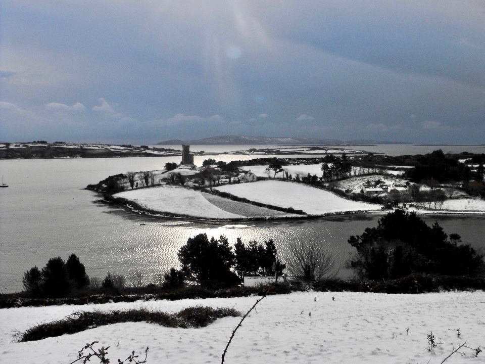 Favourite Posts of 2020 | Roaringwater Journal