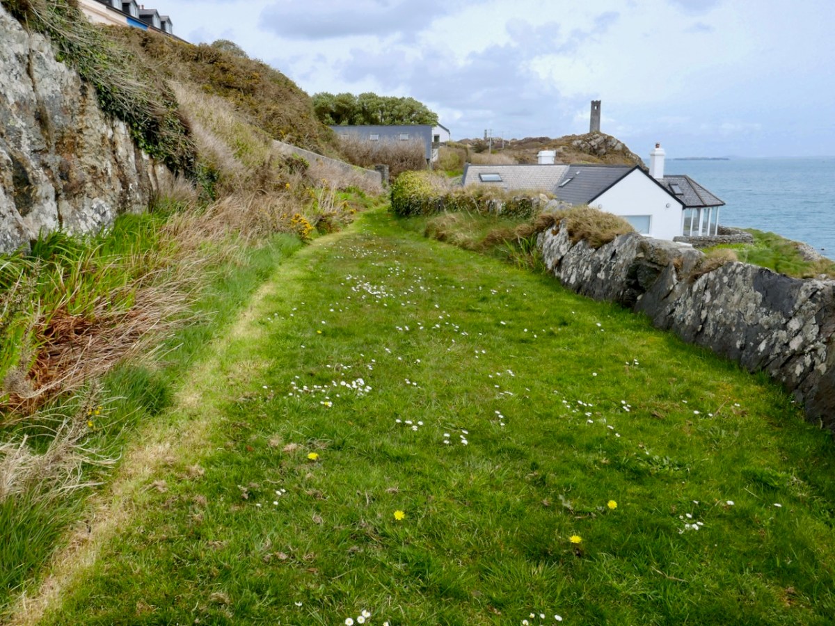 Mizen Magic 22: Crookhaven Harbour | Roaringwater Journal