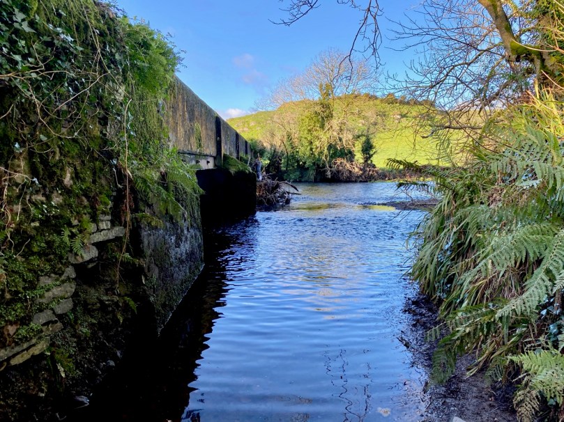 Caheragh Graveyard | Roaringwater Journal