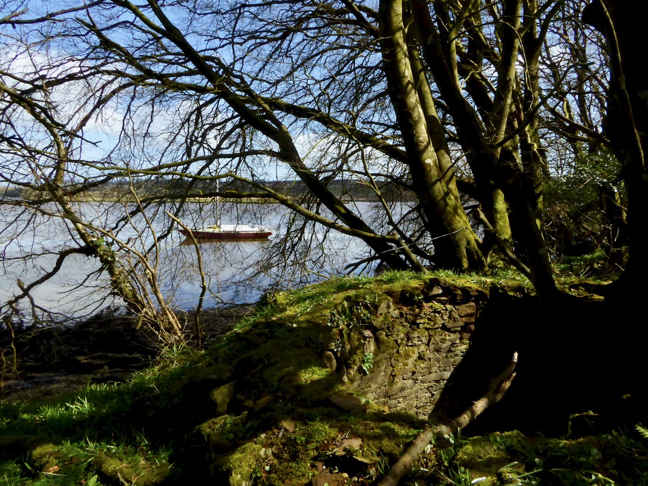 Sweet Ilen – Part 2 | Roaringwater Journal