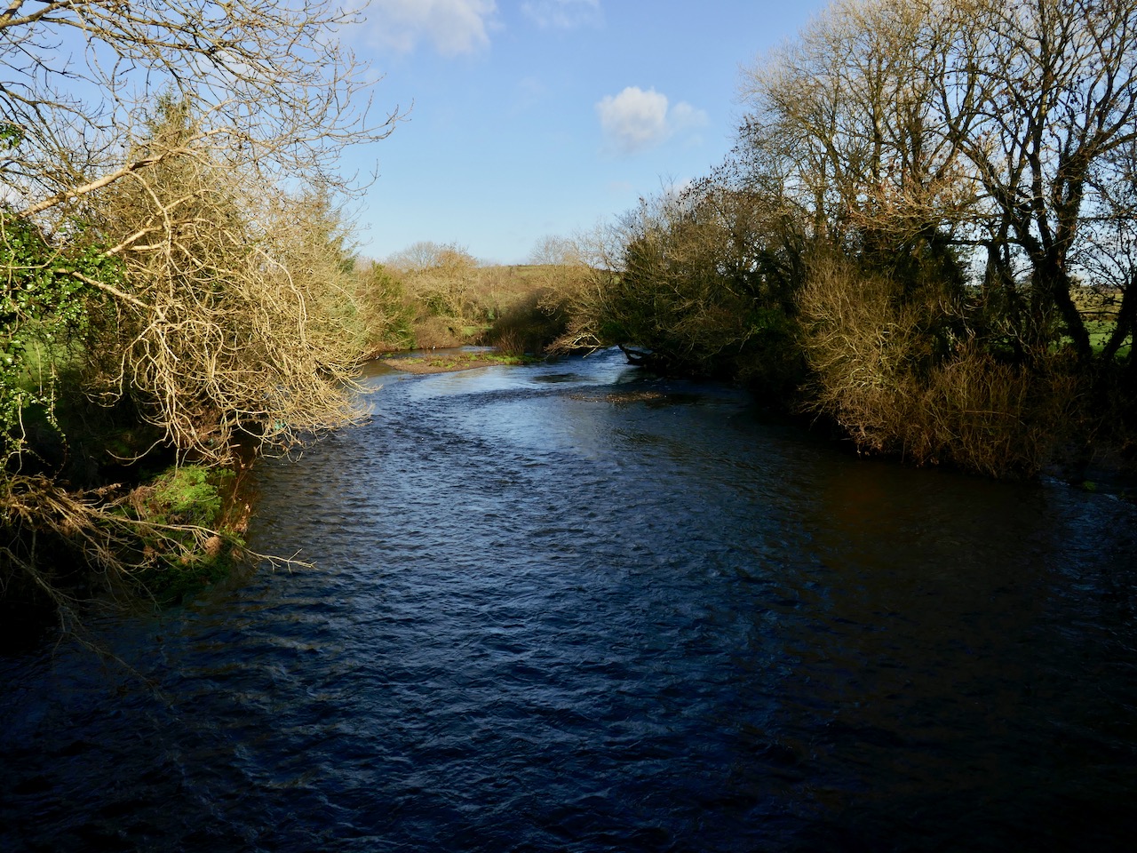 Sweet Ilen – Part 3 | Roaringwater Journal