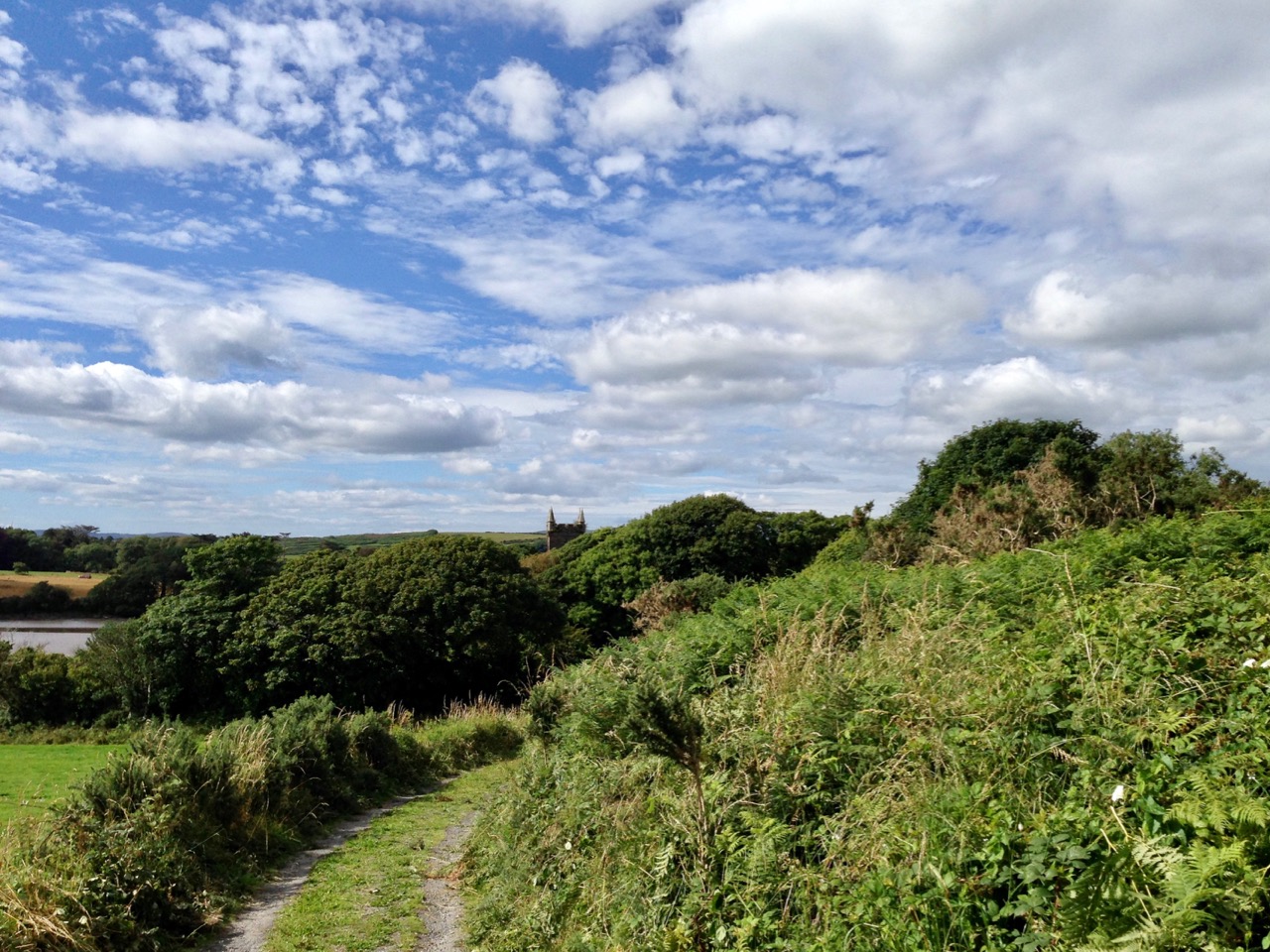 Creagh Burial Ground | Roaringwater Journal