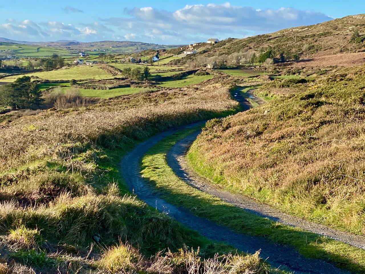 Schull – Delving into History | Roaringwater Journal