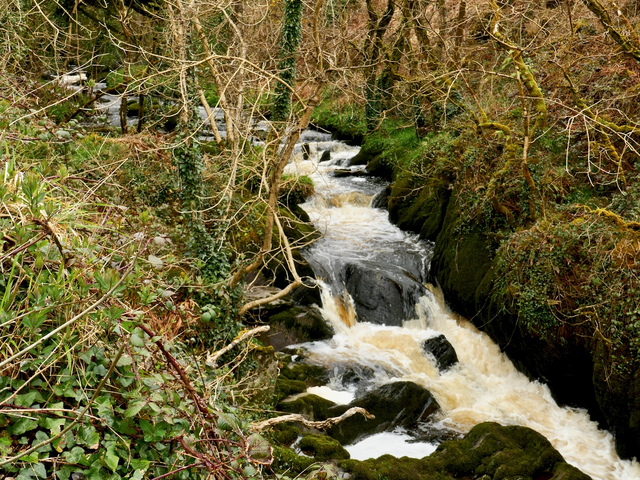 Merchant, Miller, Smuggler: James O’Sullivan and Roaring Water ...
