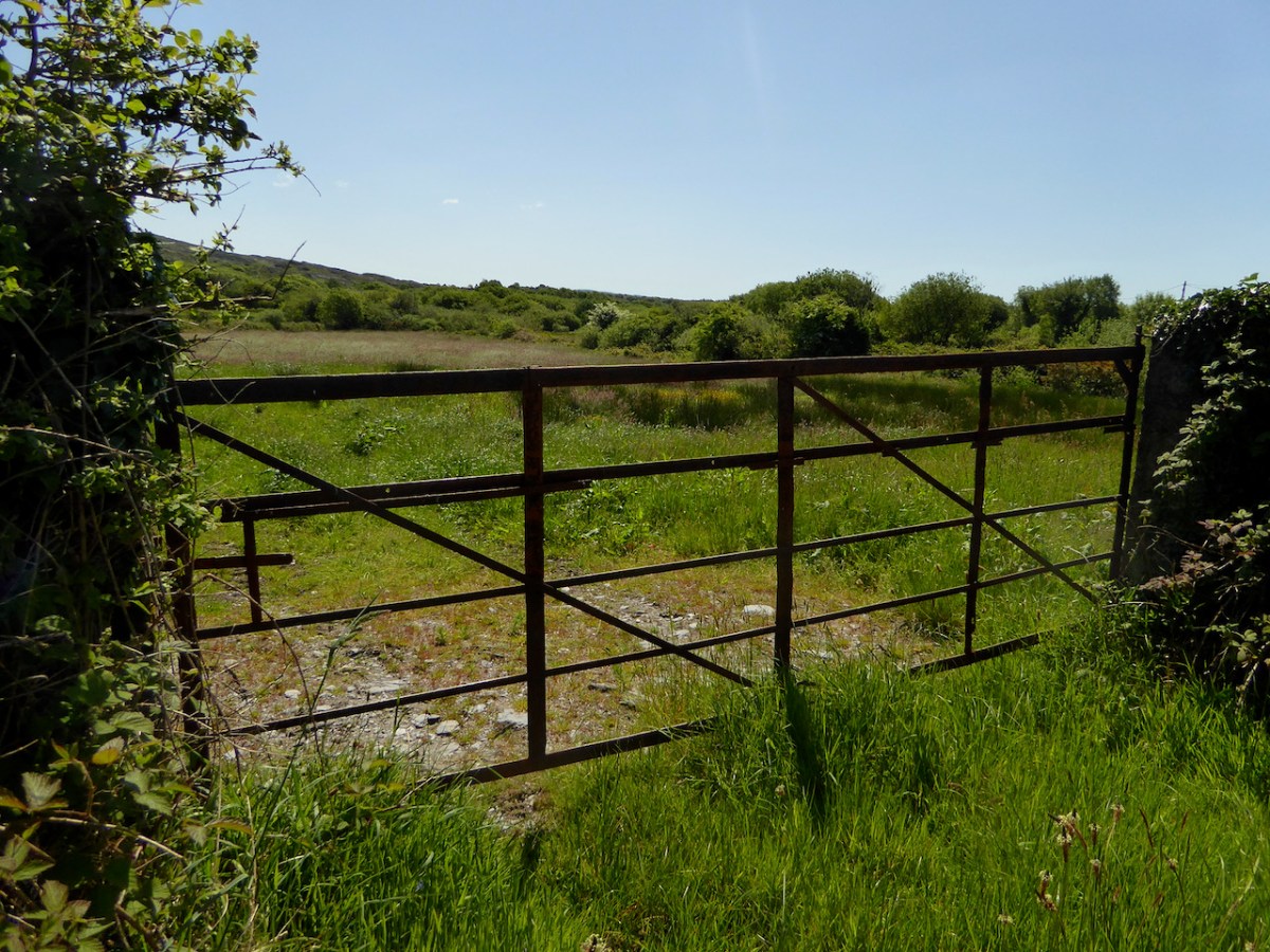 A Gate Post (Vernacular Gates of West Cork) | Roaringwater Journal