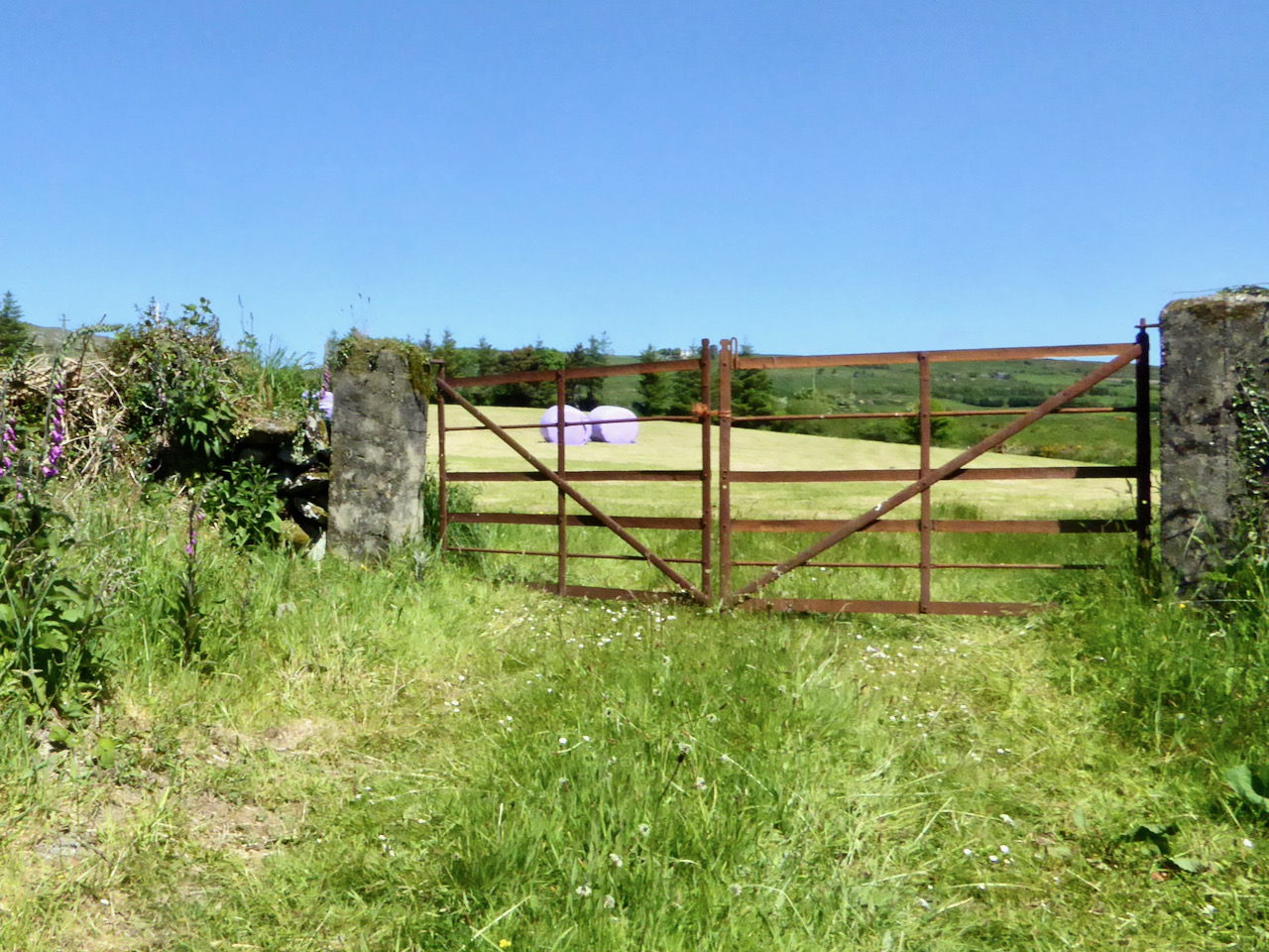 A Gate Post (Vernacular Gates of West Cork) | Roaringwater Journal