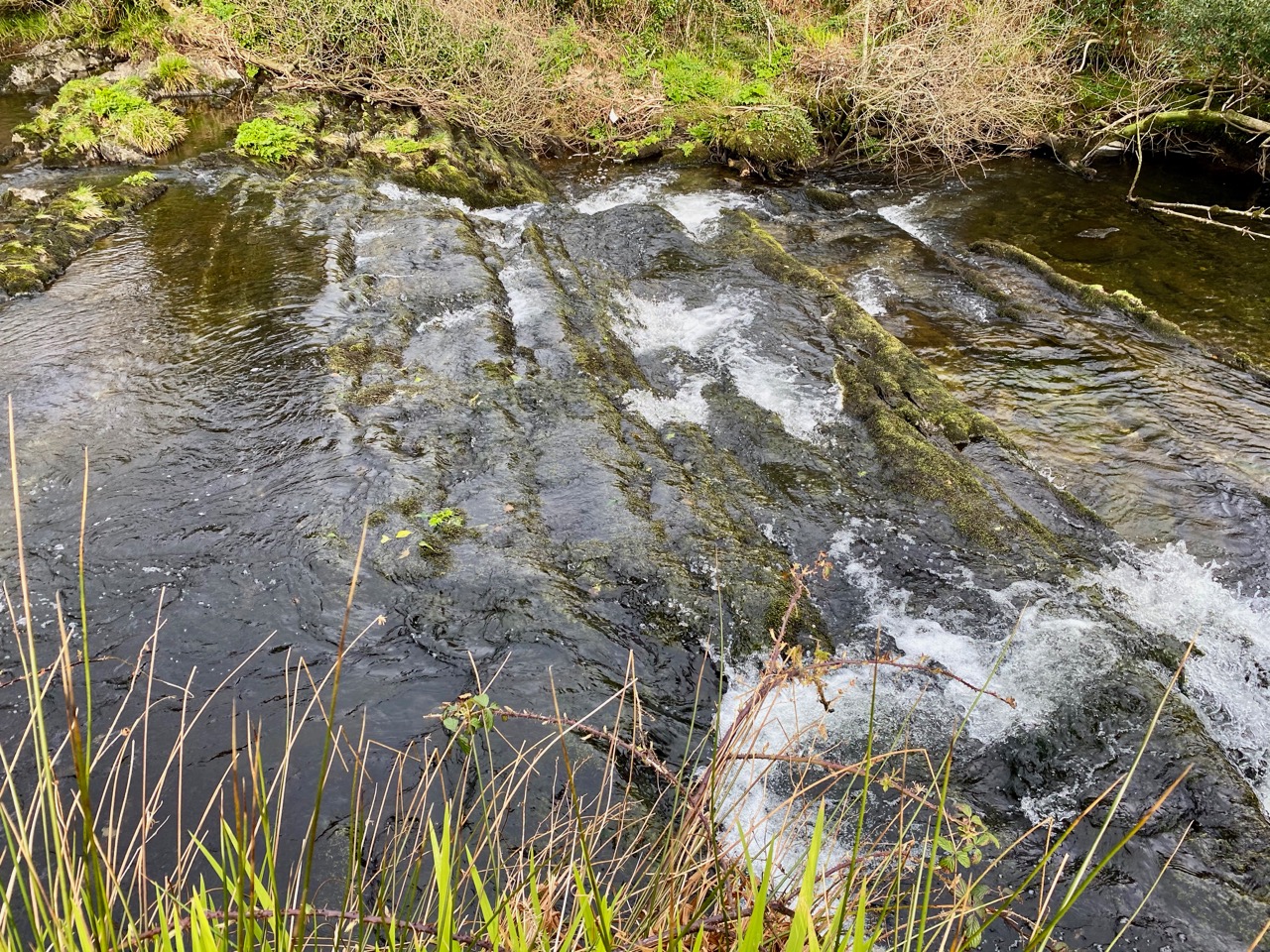 Following the Cascades (Sweet Ilen – Part 7) | Roaringwater Journal