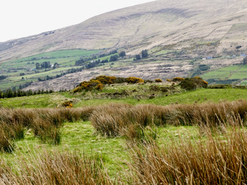 Ring Forts | Roaringwater Journal