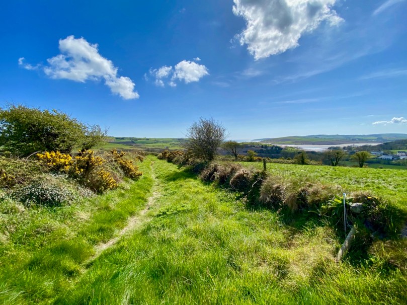 Round Ring | Roaringwater Journal