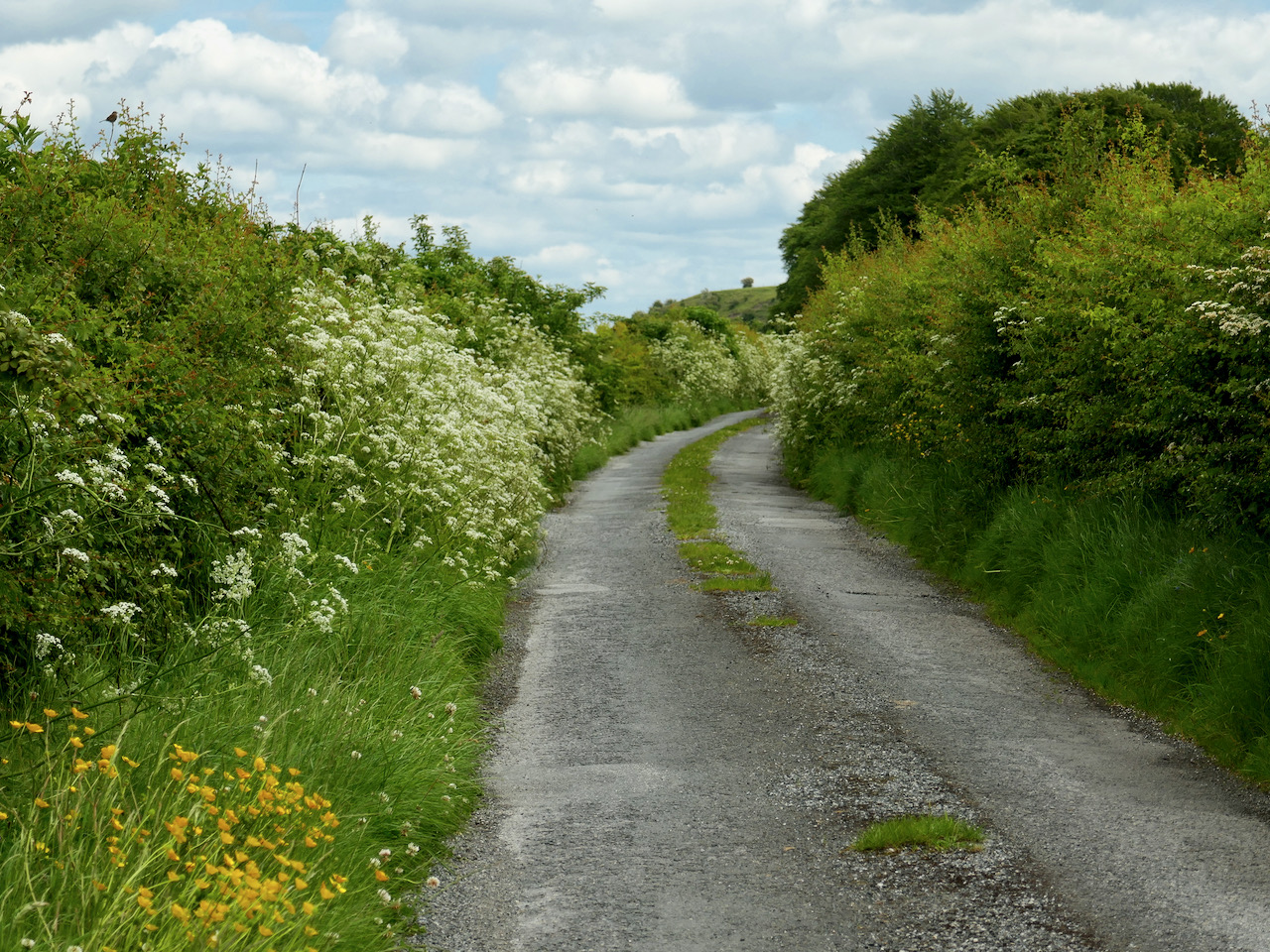 The Nuns' Church | Roaringwater Journal