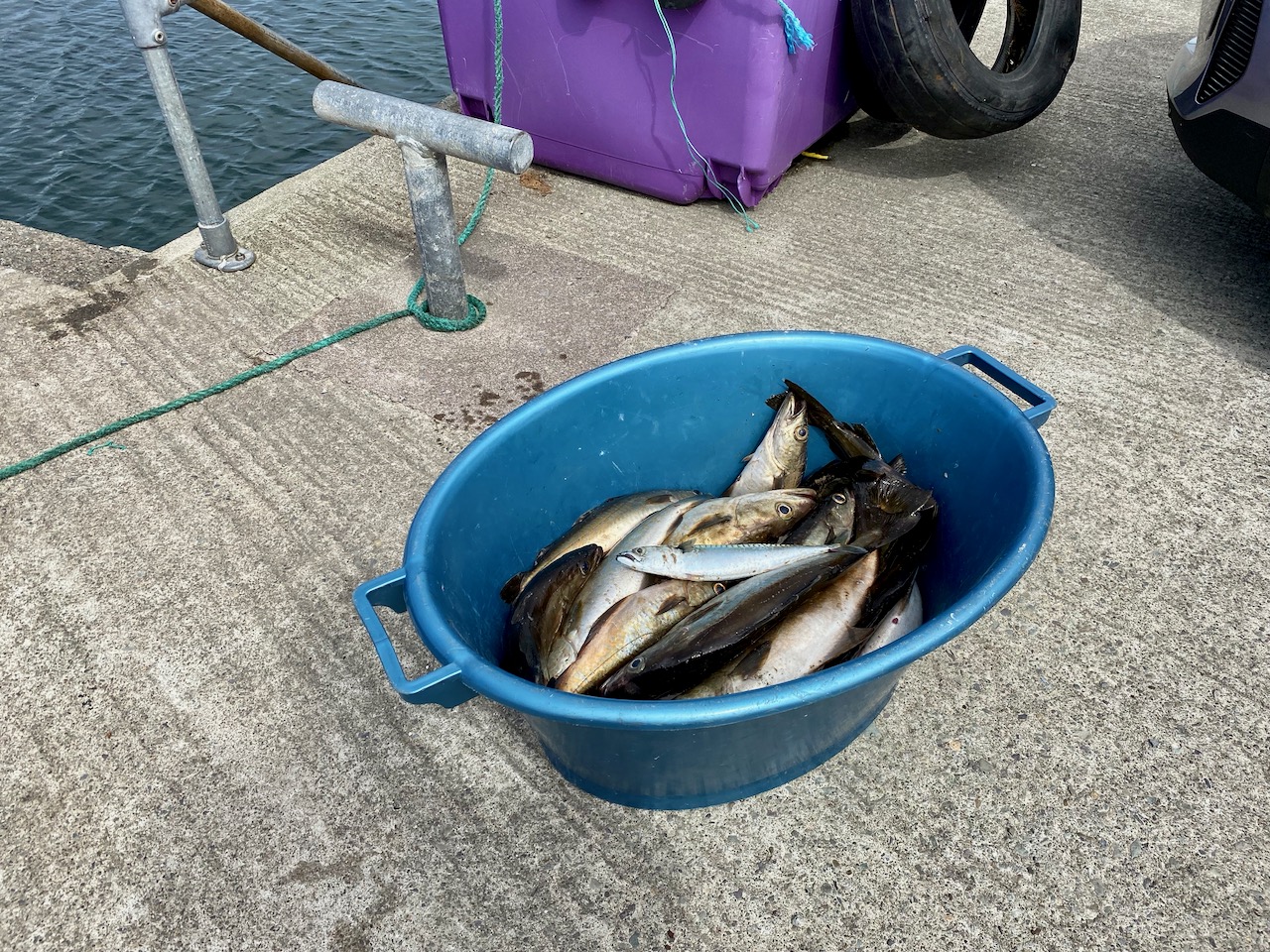 Fish Recipe | Roaringwater Journal